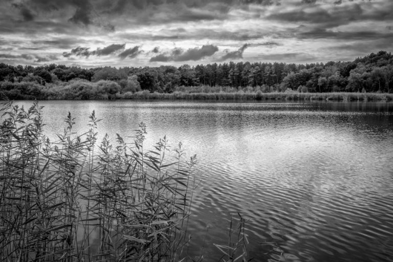 Hatchmere Lake – Frodsham and District Photographic Society