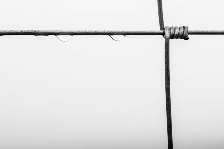 “Crossed Wires” – Frodsham and District Photographic Society