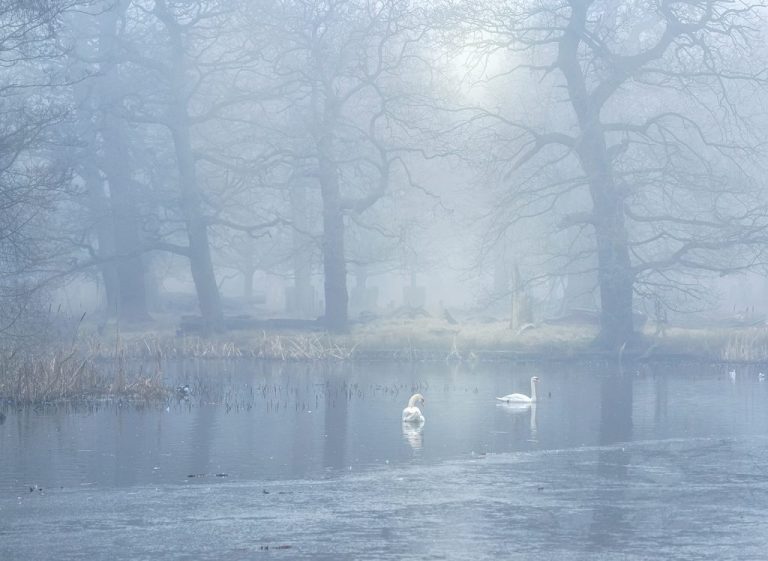 “Cold Misty Morning” – Frodsham and District Photographic Society