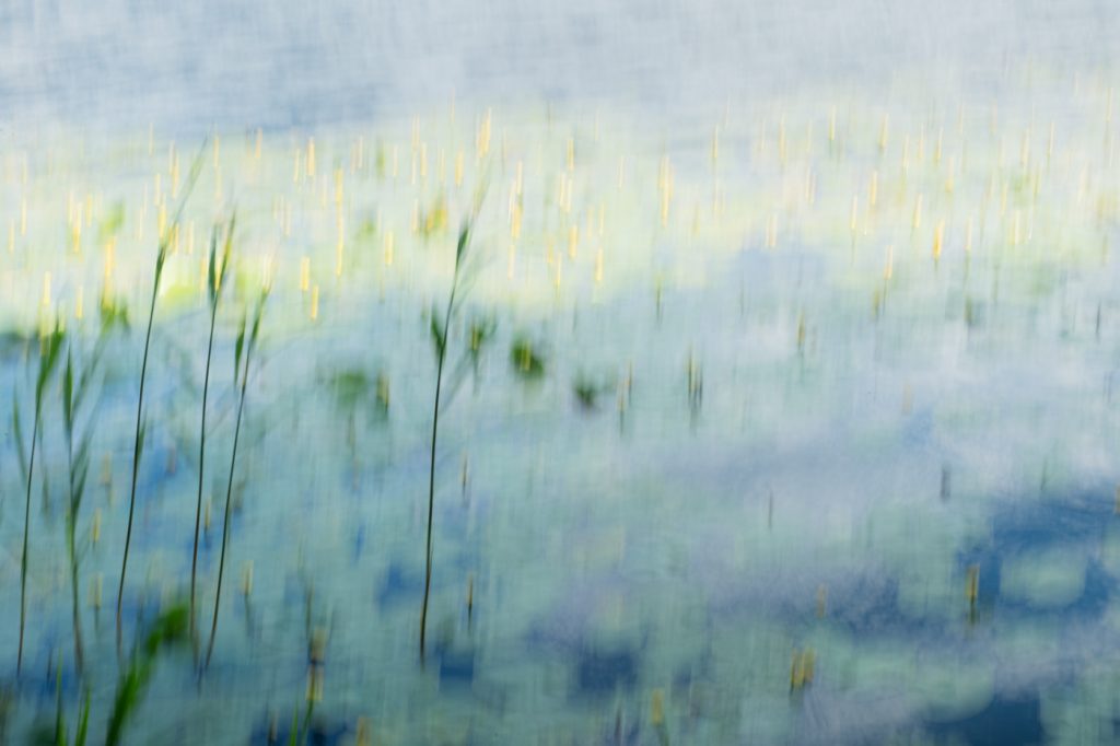 “Two Trees” – Frodsham and District Photographic Society