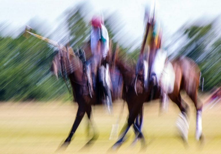 “Polo Battle” – Frodsham and District Photographic Society